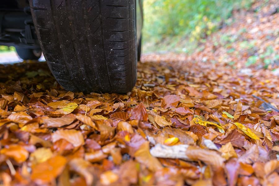 Car Preparation for Fall Rain & Leaves | Hollenshade's Auto